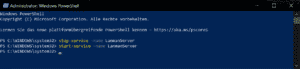 Was ist der LanmanServer bei Windows - Windows FAQ