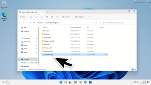 DumpStack.log - Was ist das für eine Datei? - Windows FAQ